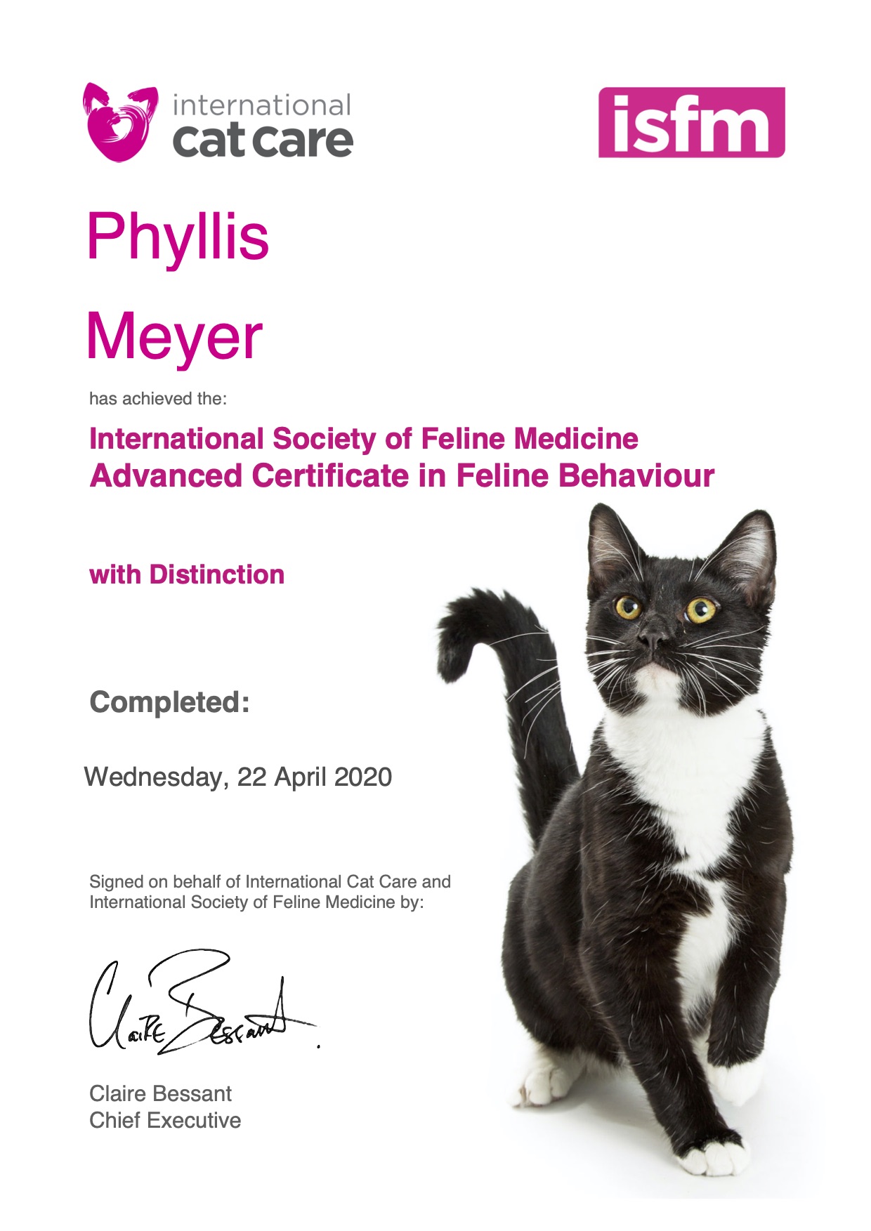 How do you communicate with cats?