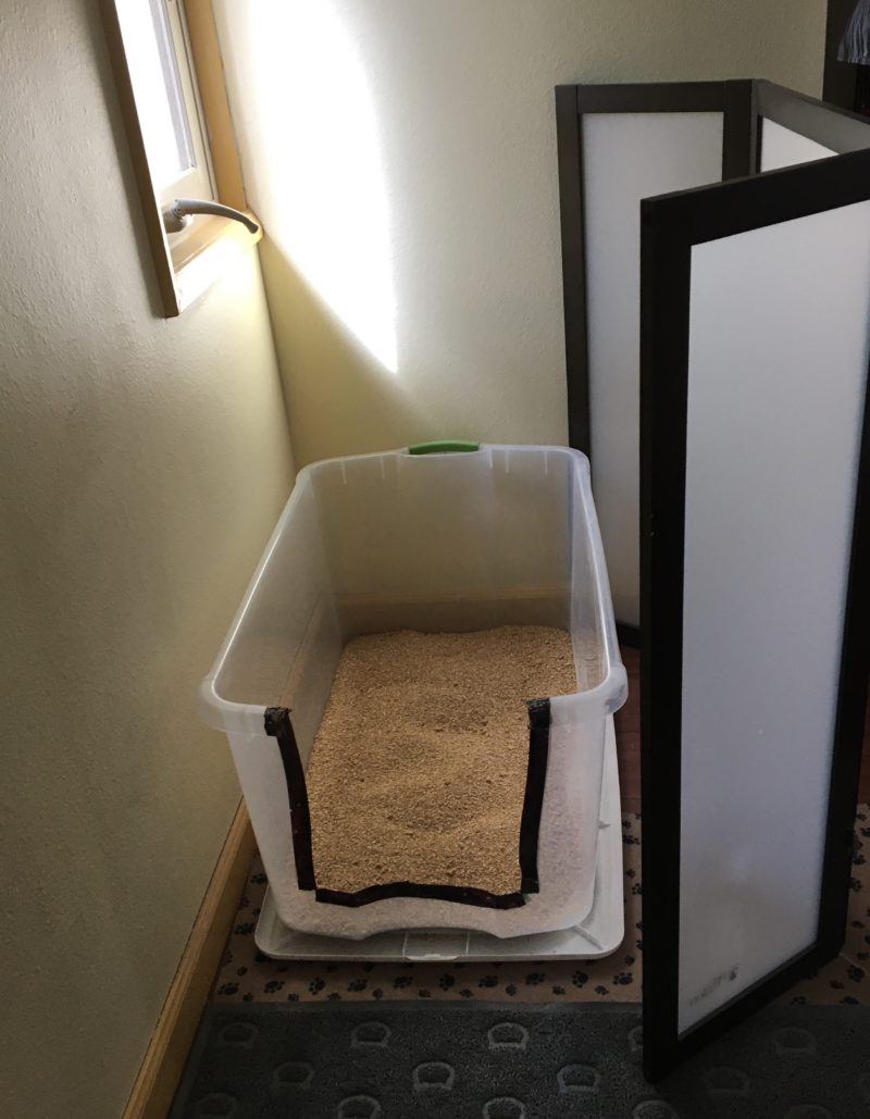 The Cat Friendly Home: the High Tech Litter Box