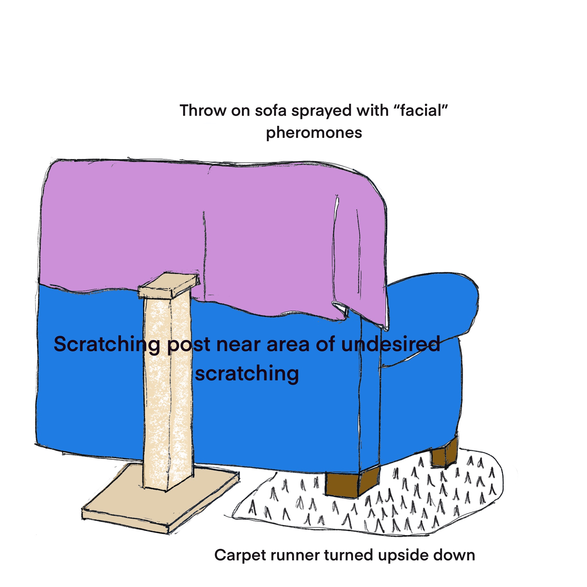 First Aid for Unwanted Scratching
