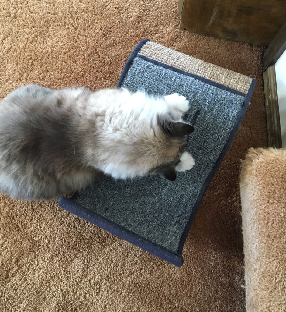 First Aid for Unwanted Scratching